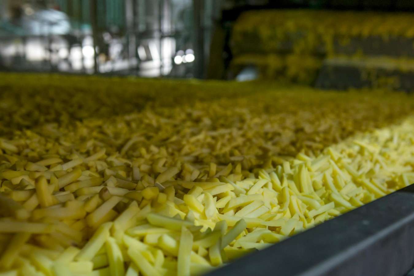 McCain investeert in 100% Belgische frieten - RetailDetail BE