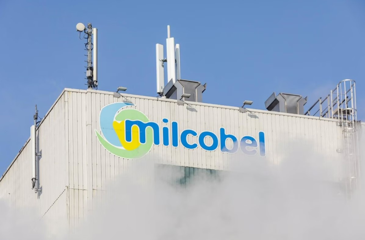 Milcobel verliest 11 miljoen euro aan ERP-omschakeling - RetailDetail BE