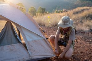 Scouts-winkels Hopper gaan dicht - RetailDetail BE