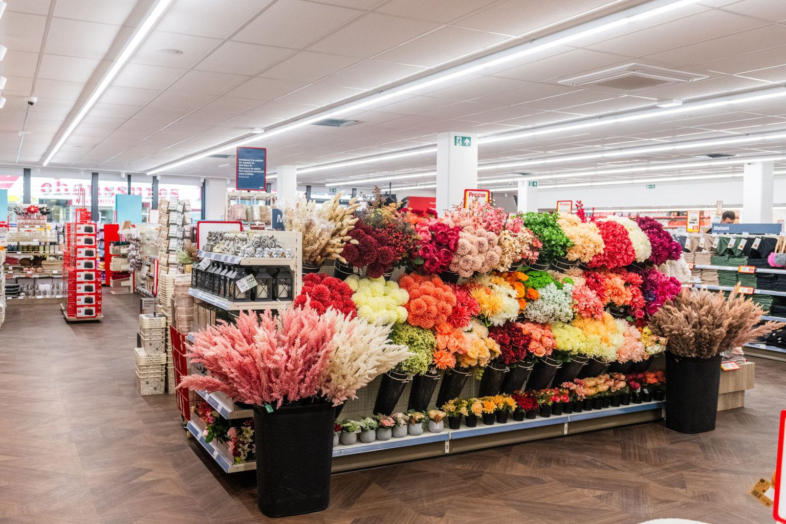 [En images] Wibra fait ses débuts en France - RetailDetail BE