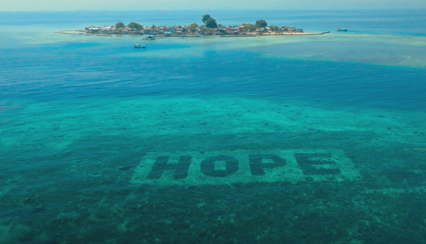 Documentaire “Reef Builders” toont hoe Sheba het herstel van ...