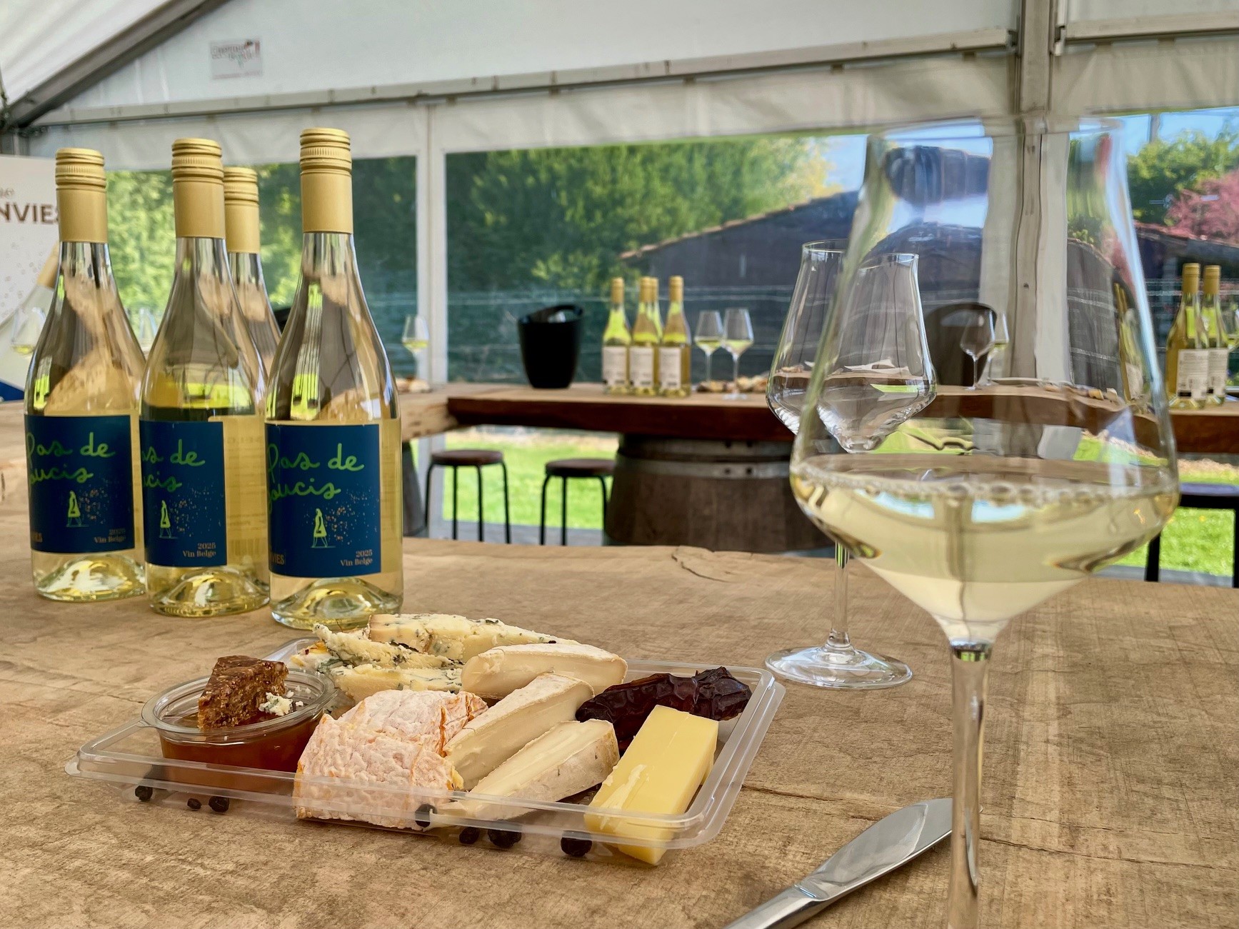 Pourquoi Colruyt lance un vin issu de son propre domaine - RetailDetail BE